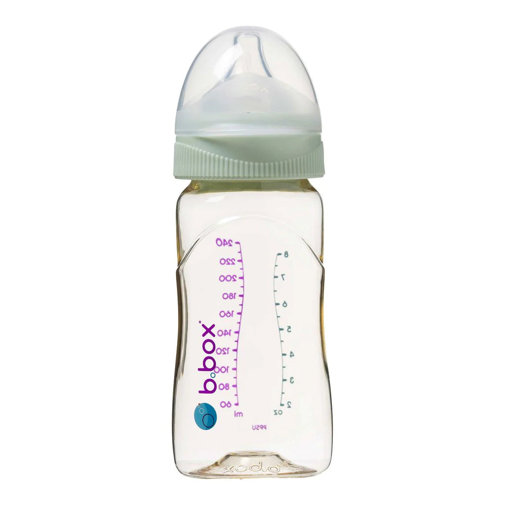 b.box - Baby Bottle 240ml – Bambi Bunny Co